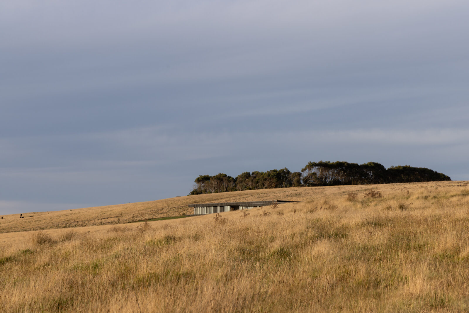 Flinders House | Intermode